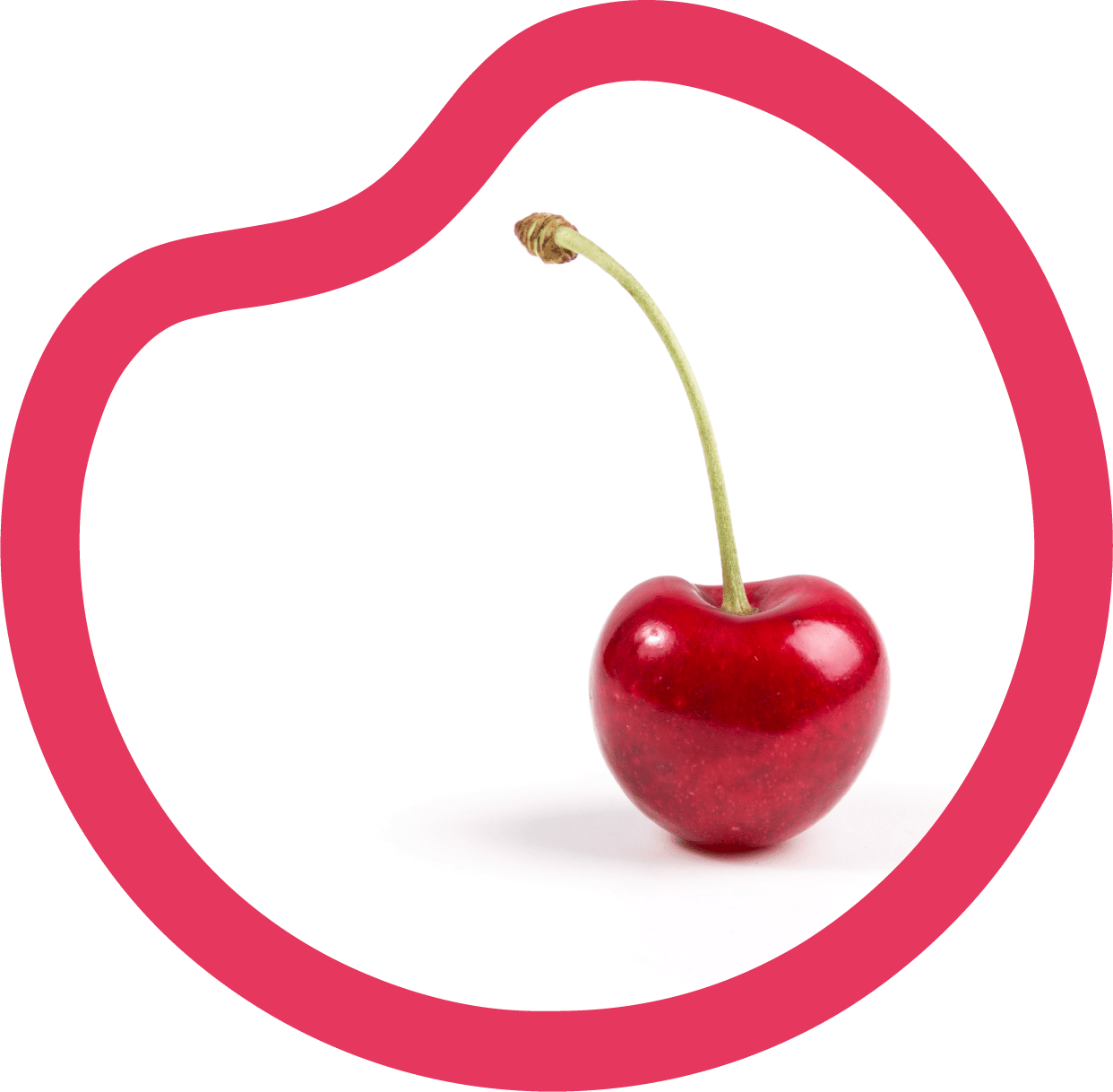 Individual Team Member Kate Lavery - Cherry Professional